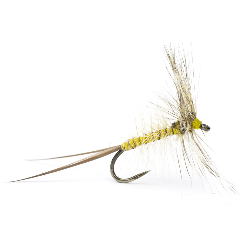 PM12AM Ephemera Danica Fly | 54 Dean Street Shop