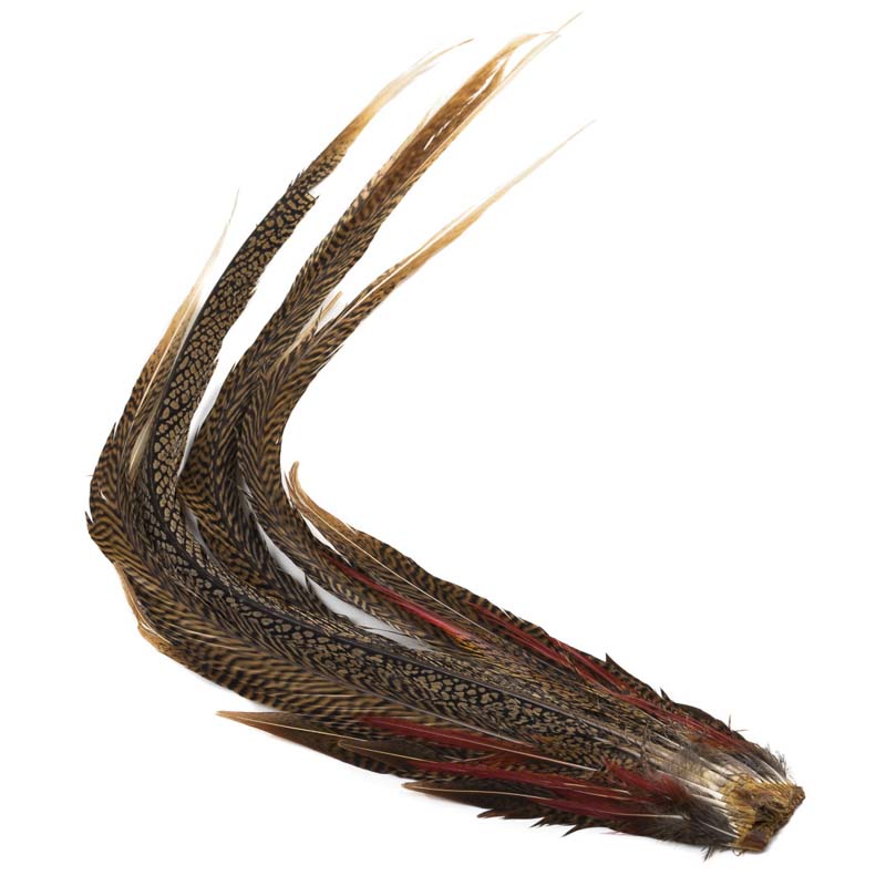 Veniard Golden Pheasant Complete Tail | 54 Dean Street Fly Shop
